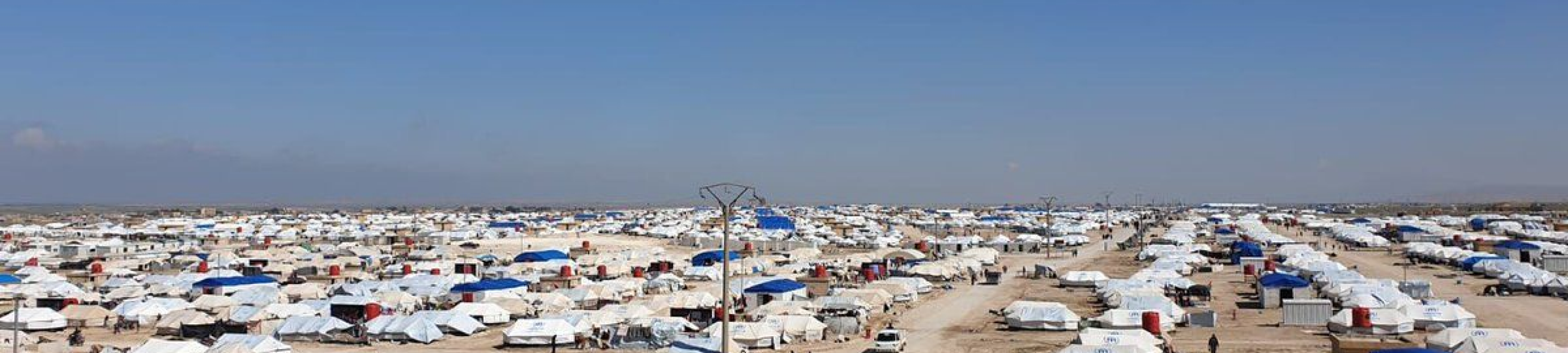 IPAC's Board of Director | IPAC